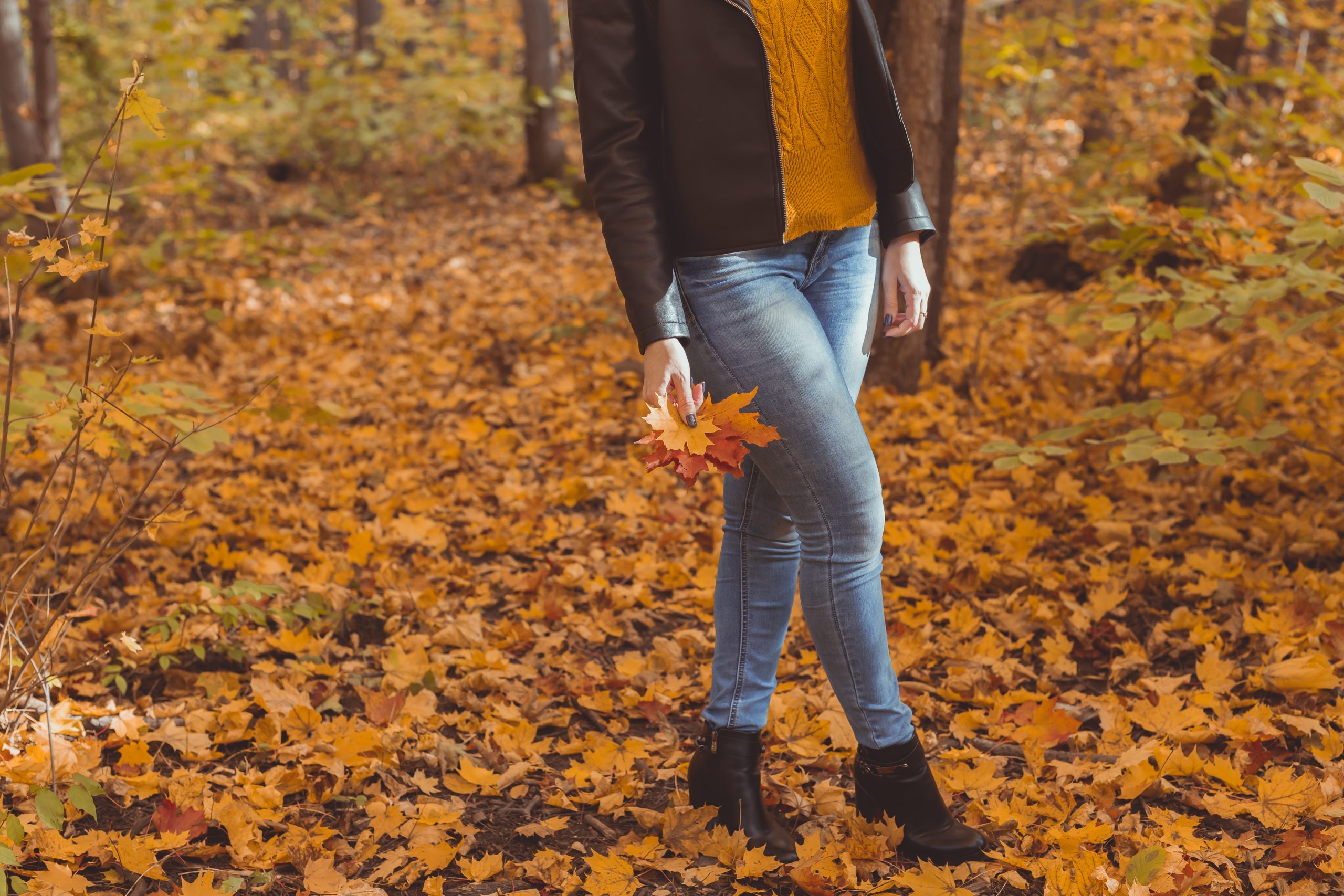 Understanding the Overlap: Bipolar Disorder and Seasonal Affective ...